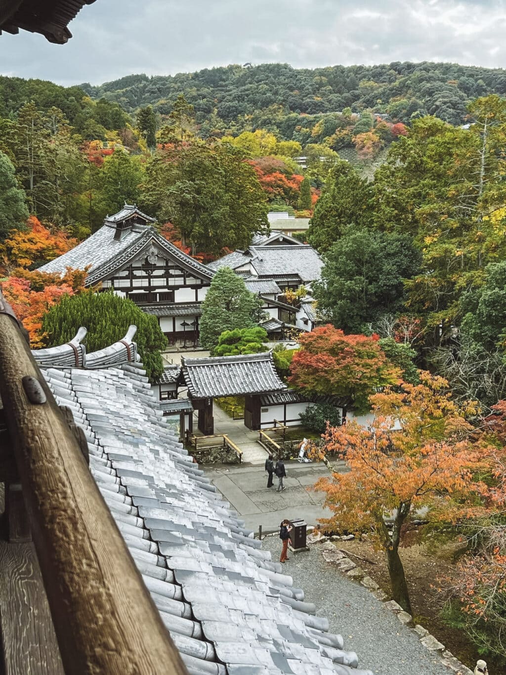 Foodie Adventures in Japan - Nourish & Tempt