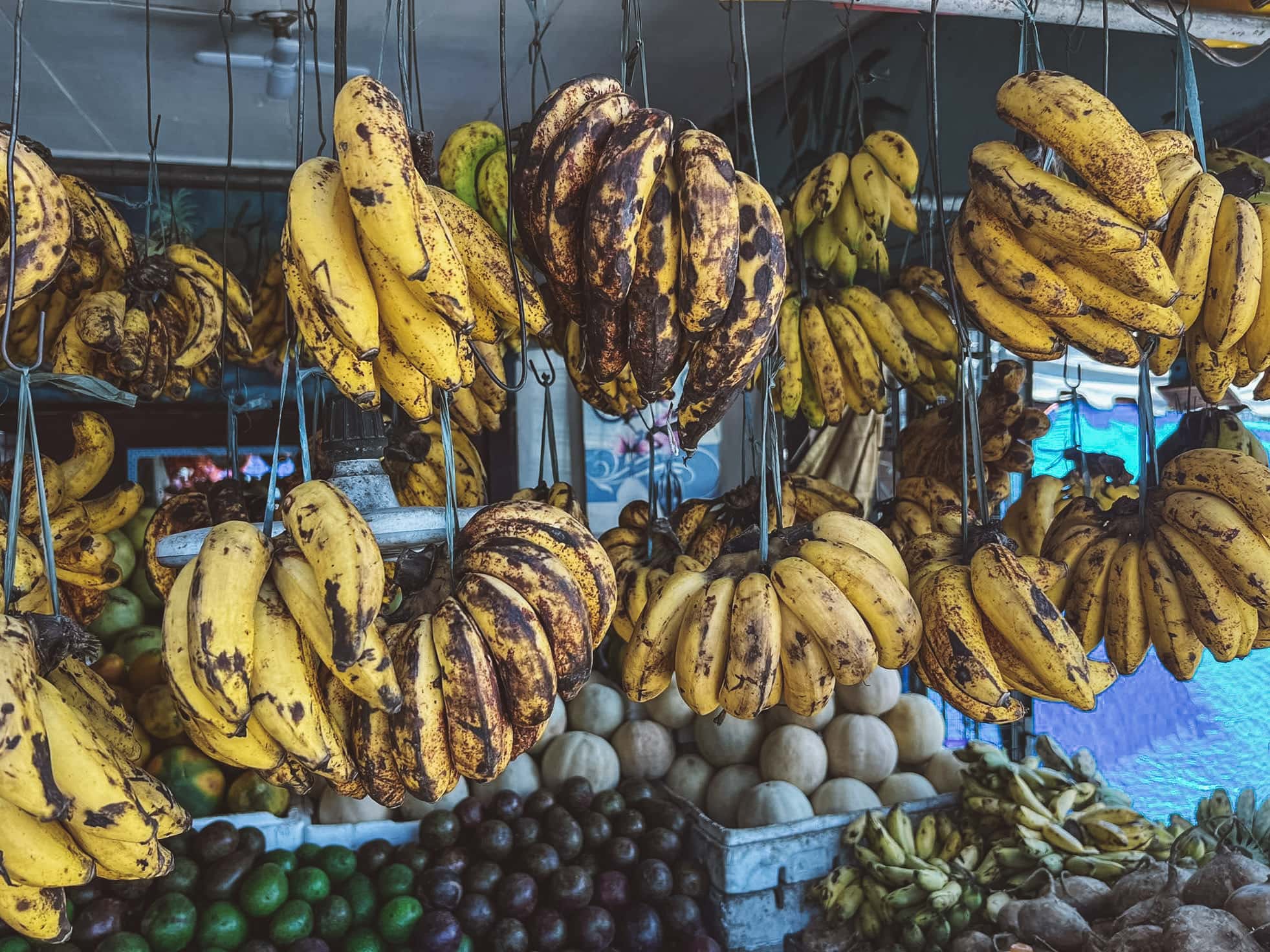 Flavours of the Philippines - Nourish & Tempt